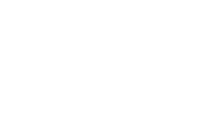 Home - The Wise Computer